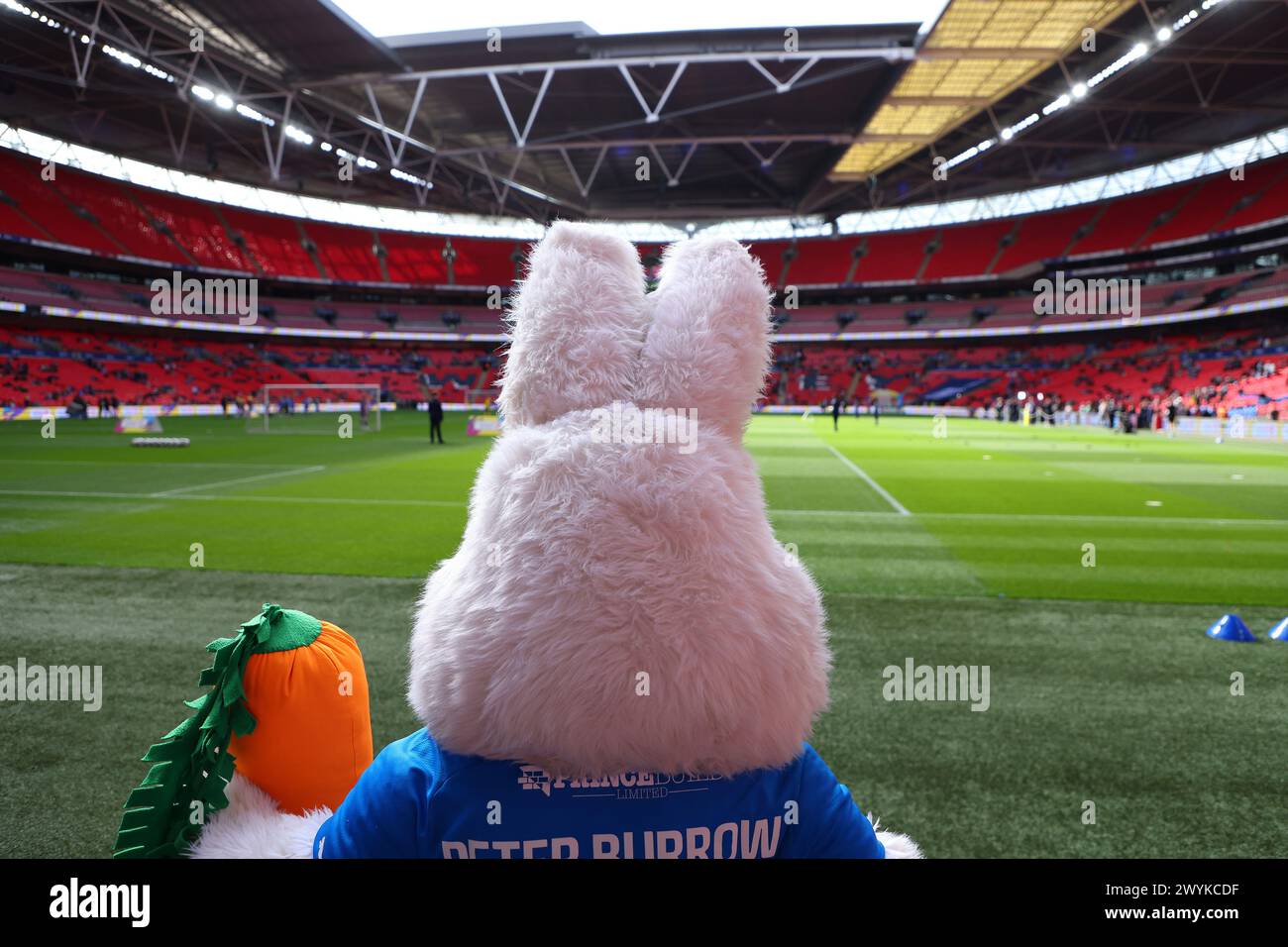 Peterborough united mascot hi-res stock photography and images - Alamy