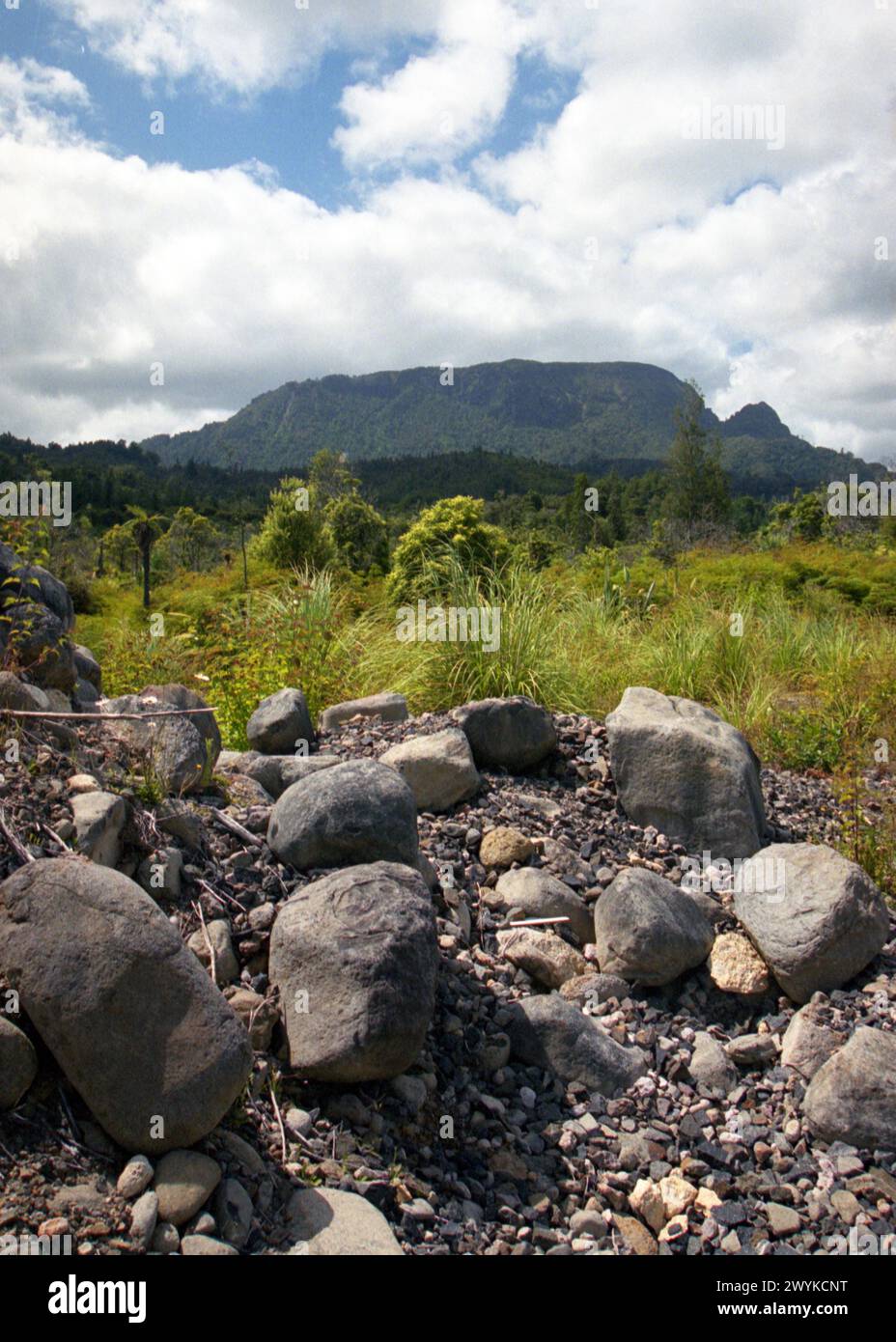Table Mountain, Coromandel, New Zealand Stock Photo - Alamy