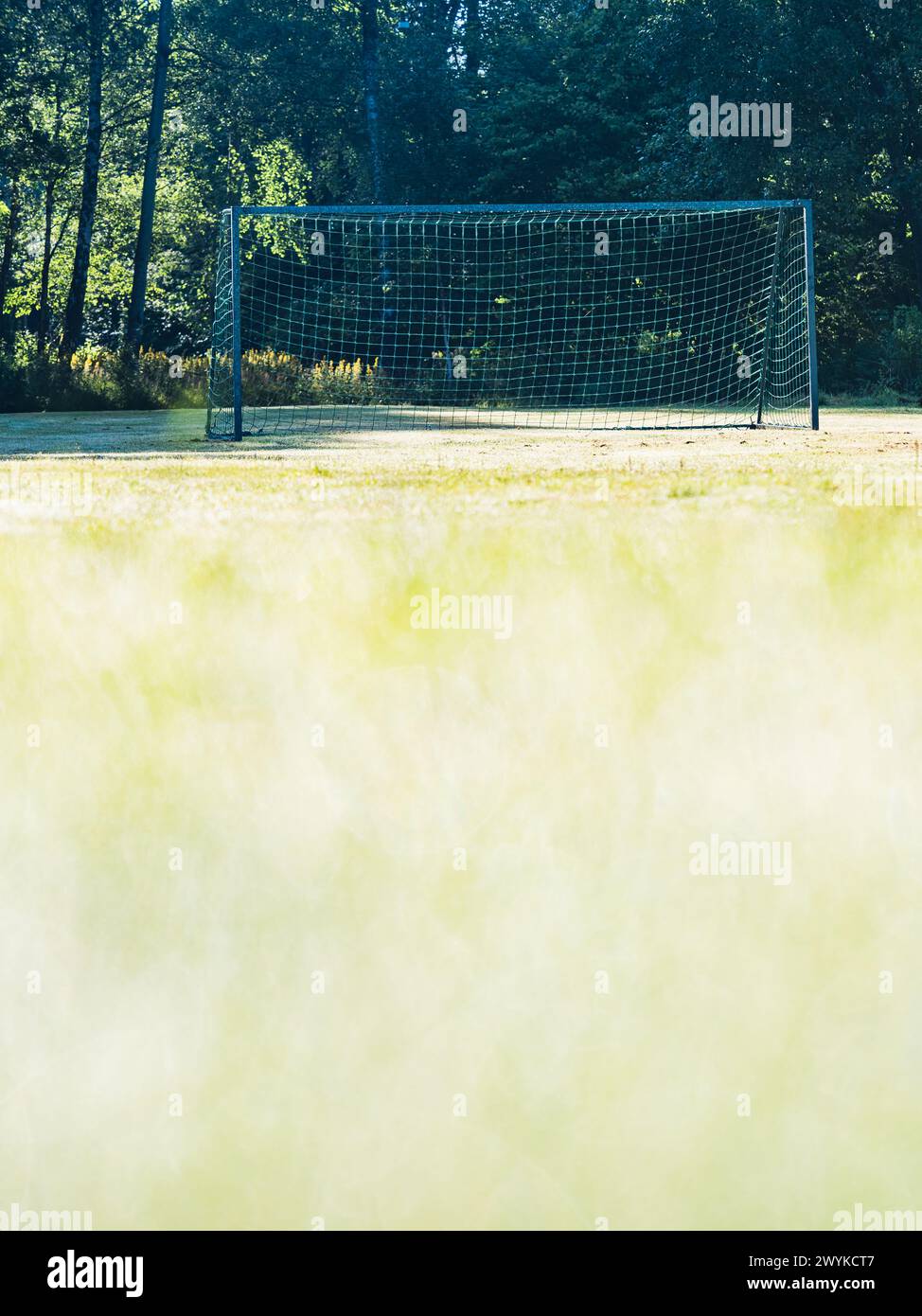 Soccer field center field hi-res stock photography and images - Alamy