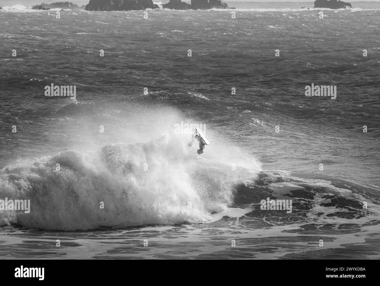 Wave board or body board surfing in huge breakers at Kynance Cove ...