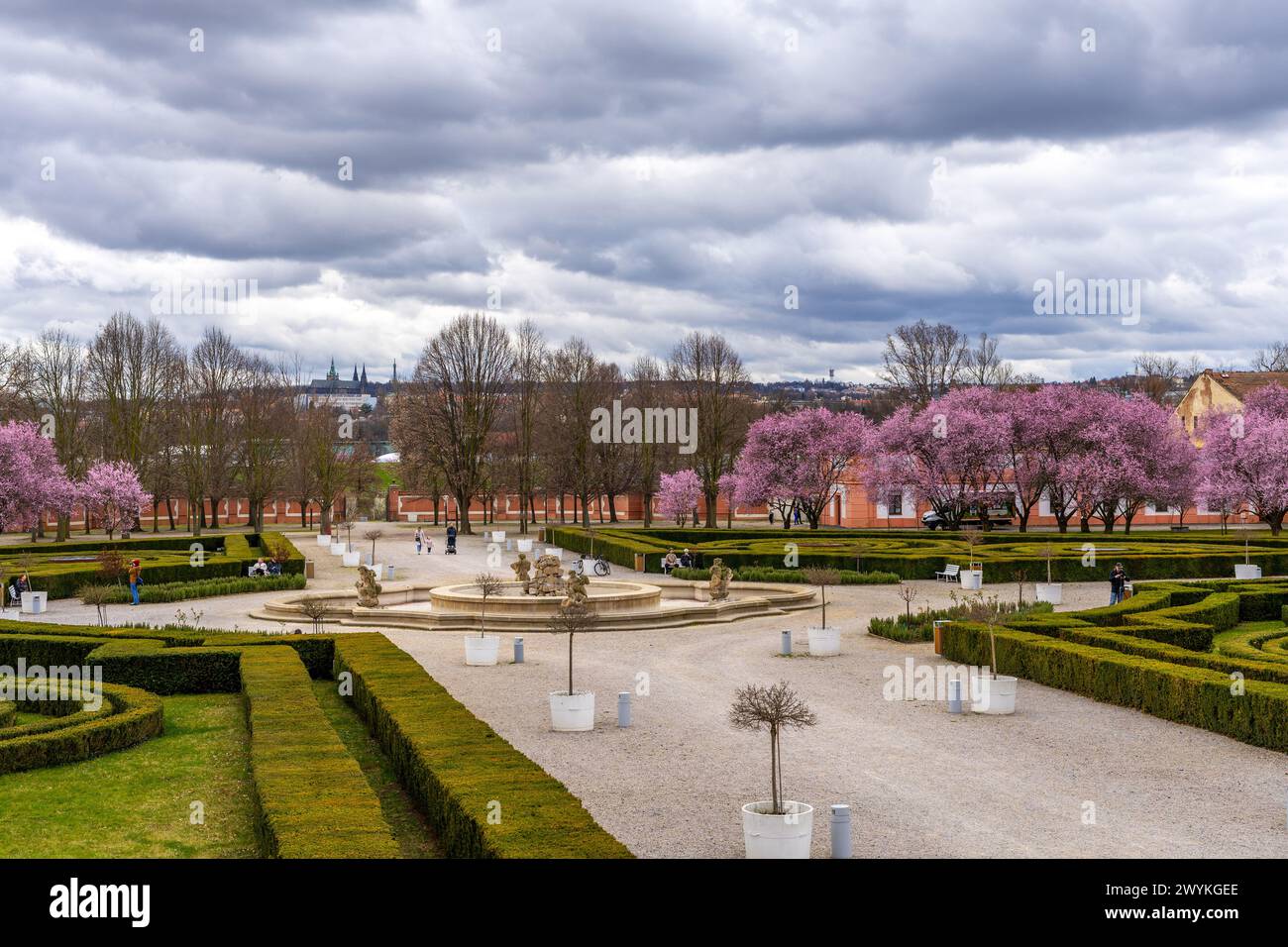 Cherry blossoms prague hi-res stock photography and images - Alamy