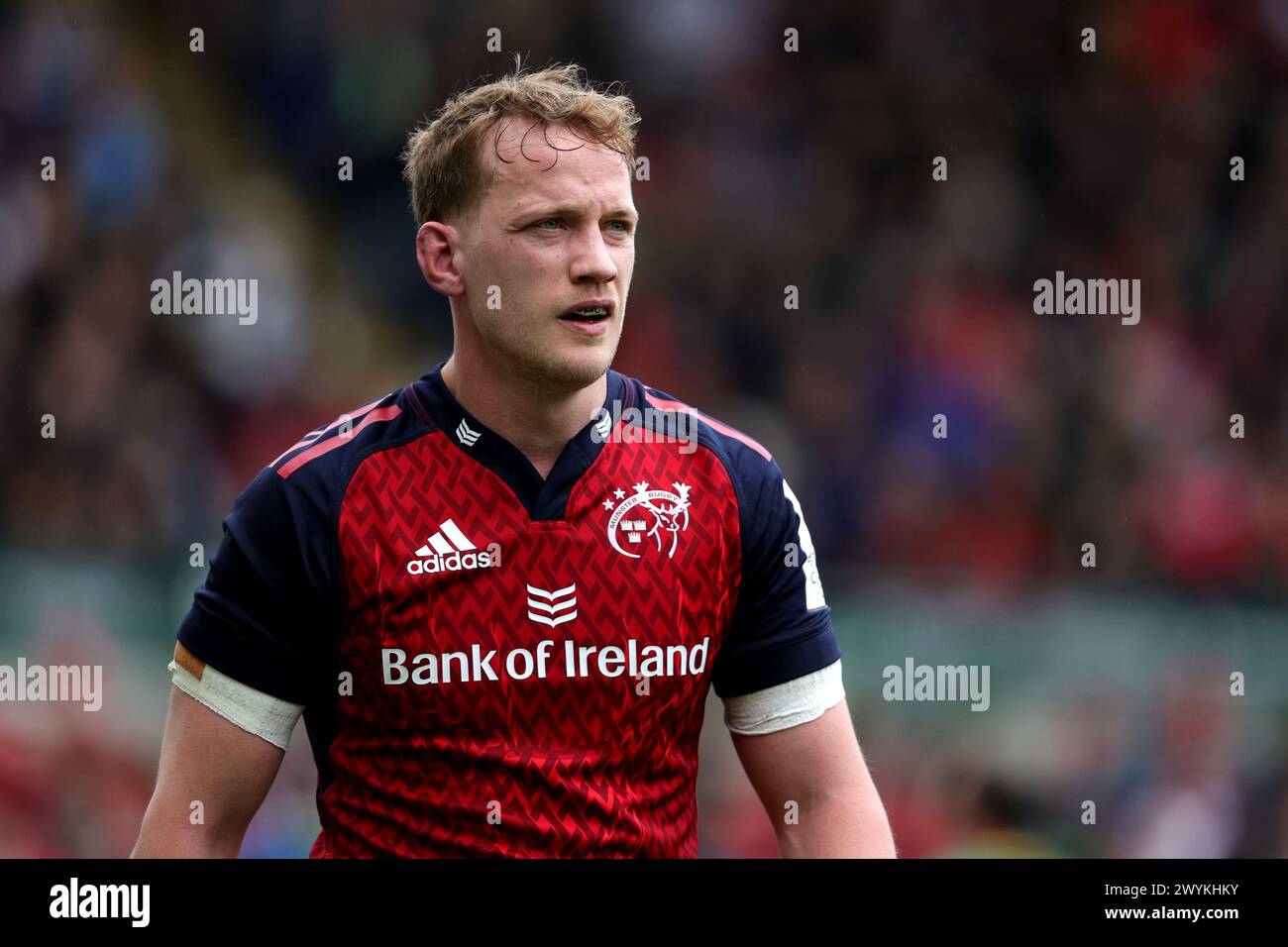 Mike haley munster hi-res stock photography and images - Alamy