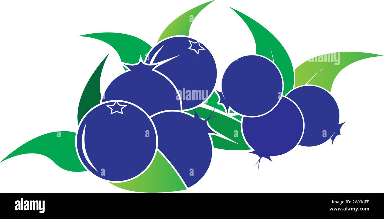 Blueberry logo vector template icon illustration design Stock Vector ...
