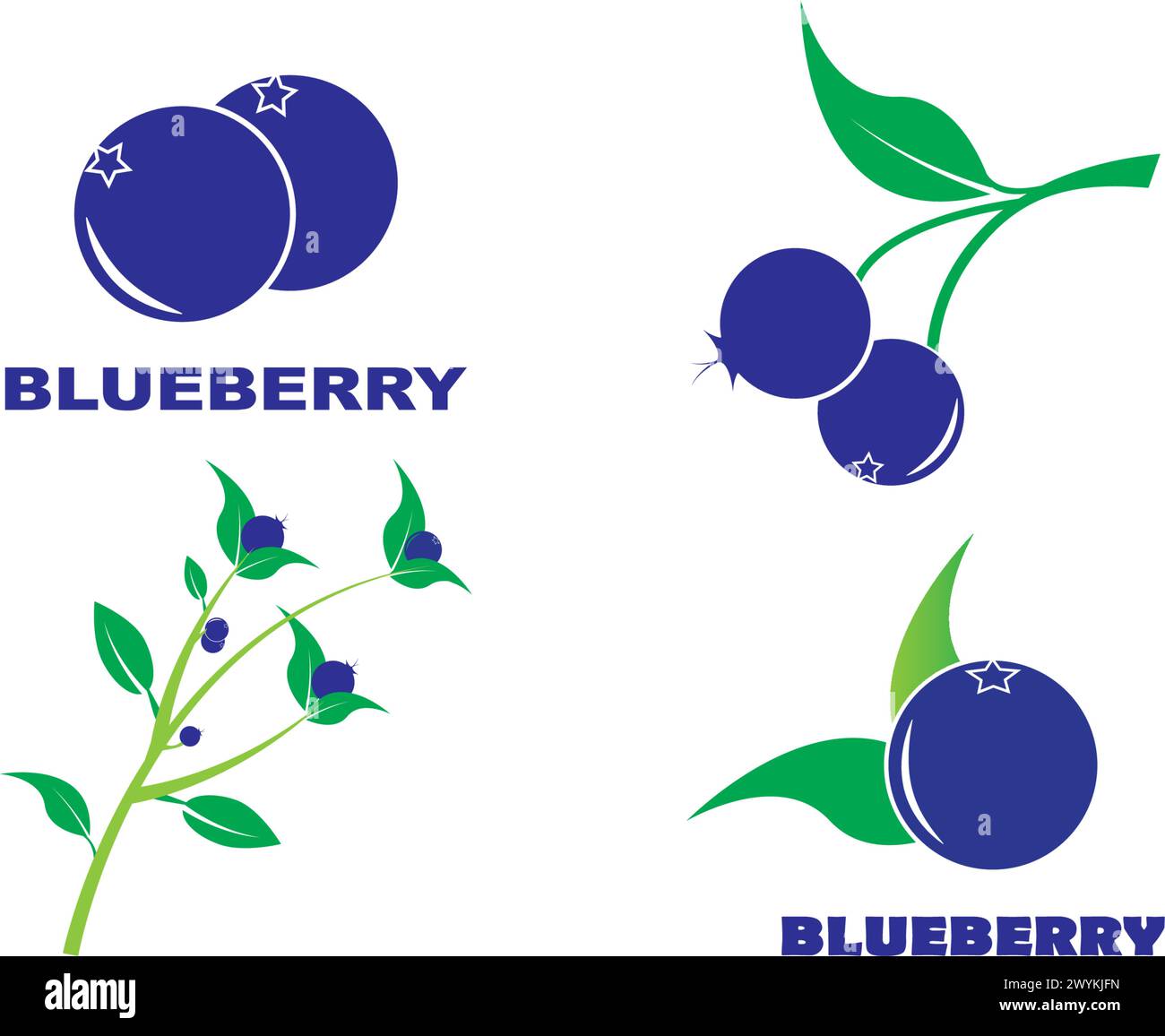 Blueberry logo vector template icon illustration design Stock Vector ...