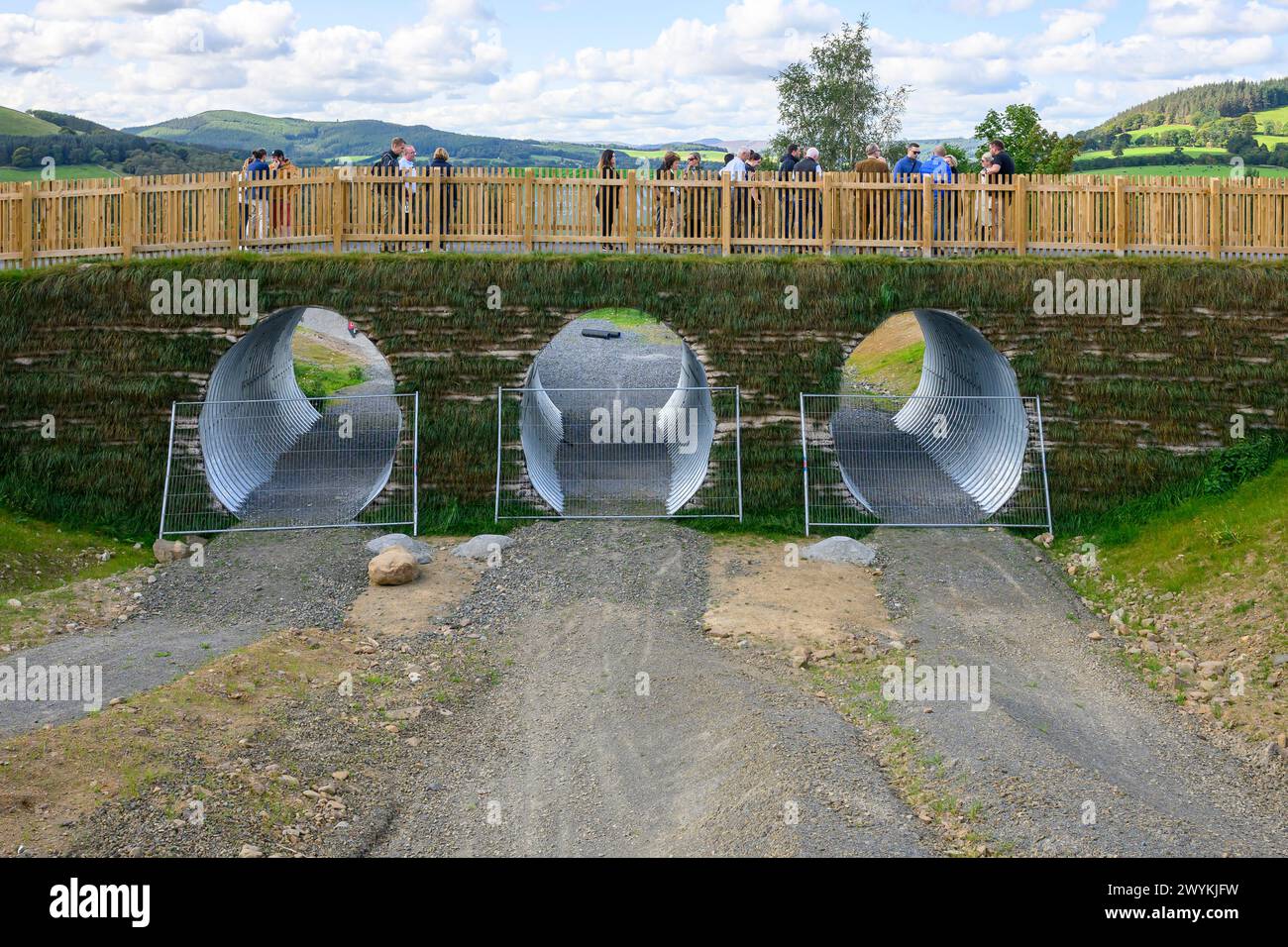 Glentress, Scotland, 7 states mountain bike centre Stock Photo - Alamy