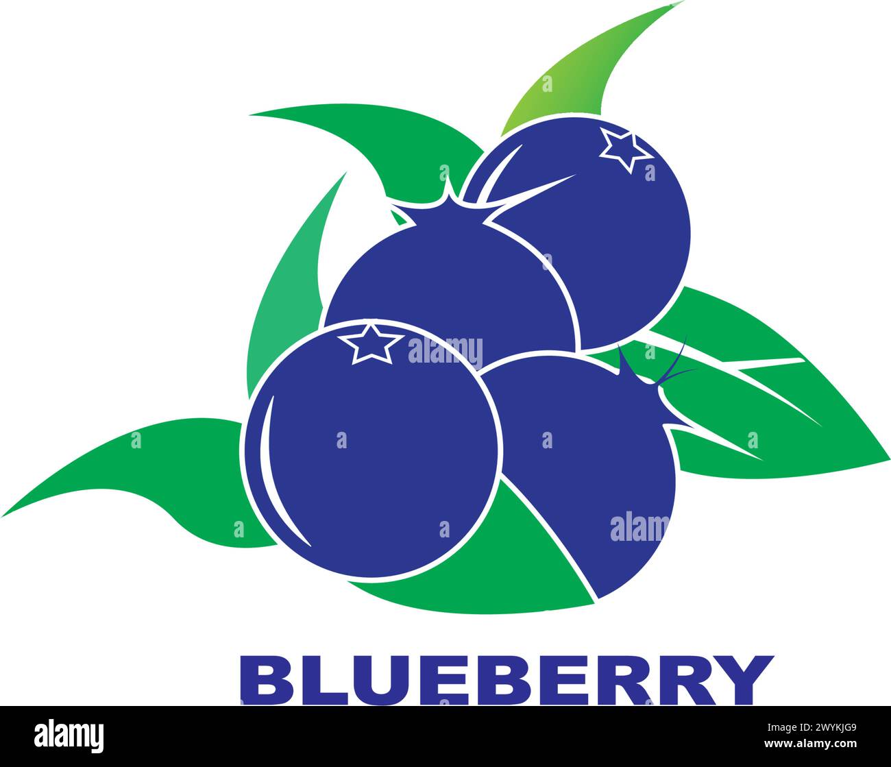Blueberry logo vector template icon illustration design Stock Vector ...
