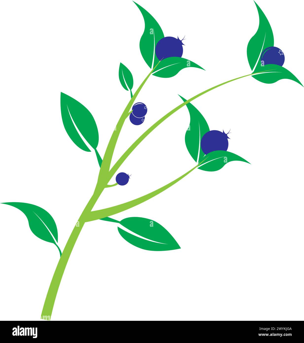 Blueberry box Stock Vector Images - Alamy