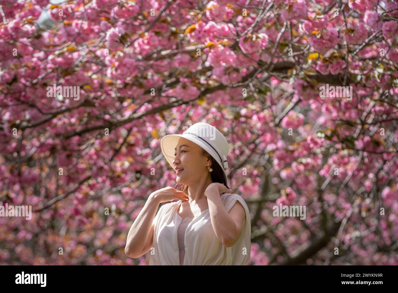 London, UK. 7th April 2024. UK Weather: Visitors enjoy the first bloom ...