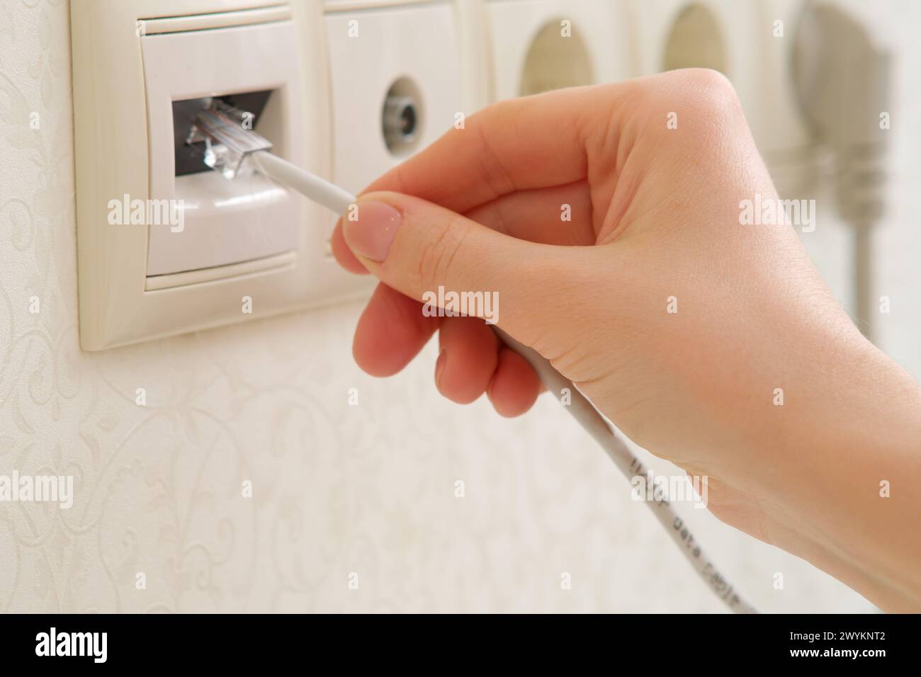 A woman's hand connects the Internet cable to a socket, rj-45 Stock ...