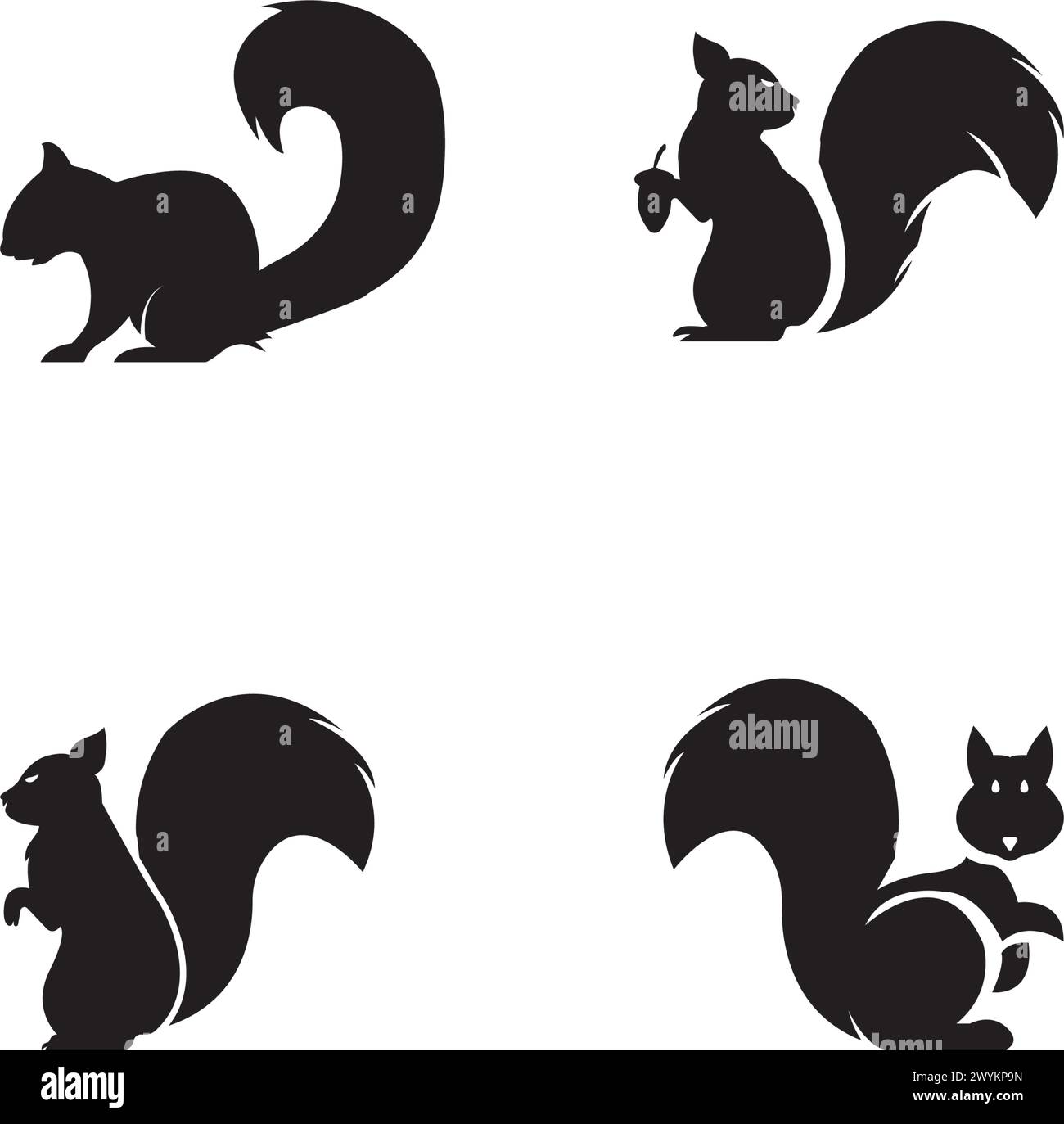 squirrel logo vector icon illustration design Stock Vector Image & Art ...