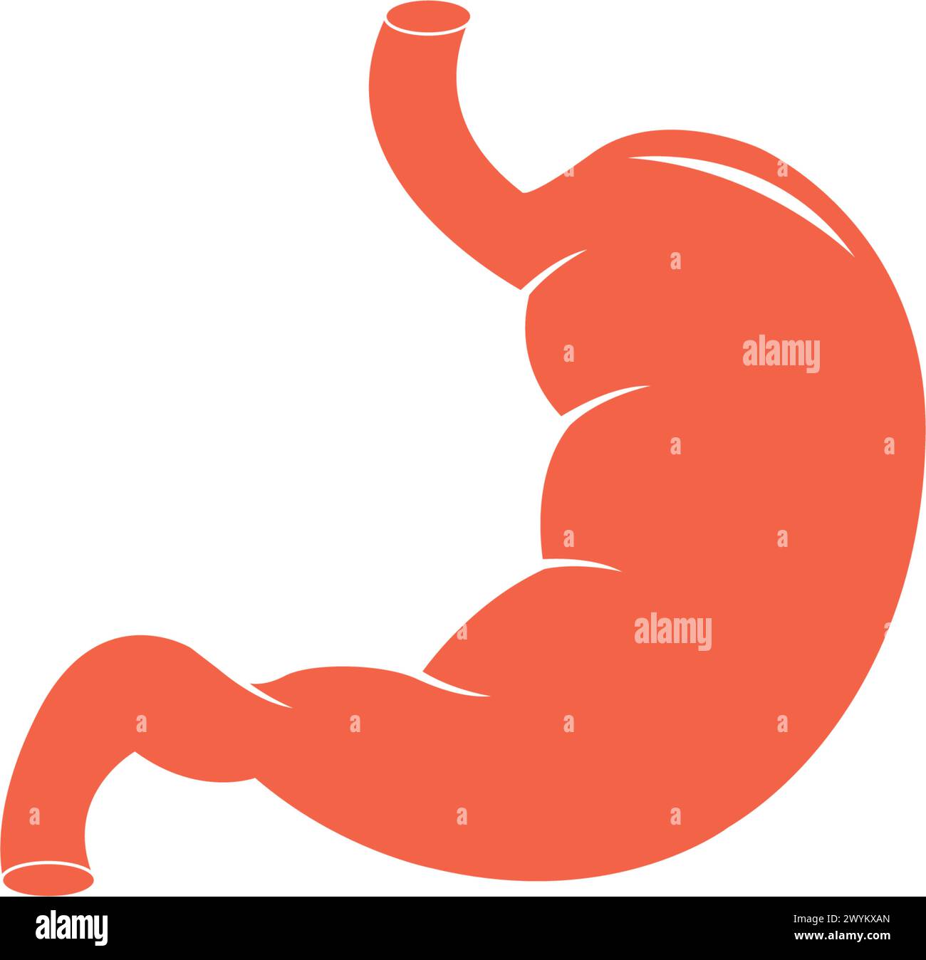 stomach care icon designs concept vector illustration design Stock ...