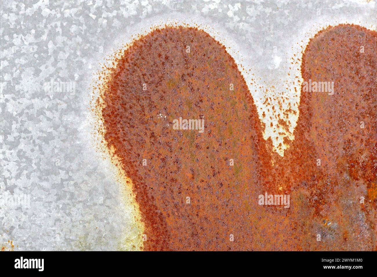 Closeup partially rusted galvanized steel sheet Stock Photo - Alamy