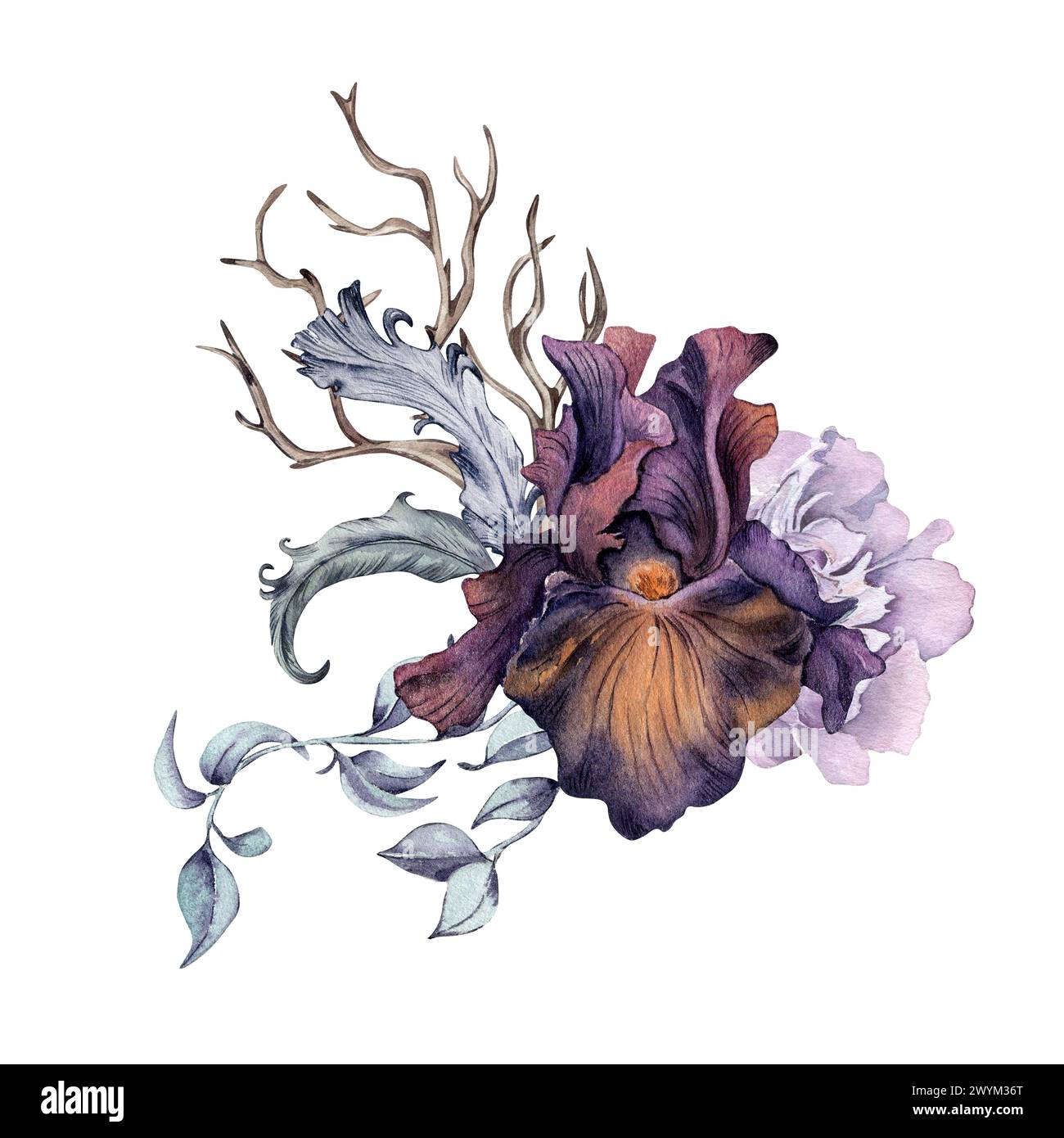 Gothic floral Illustration hand drawn. Black iris flowers and leaves ...