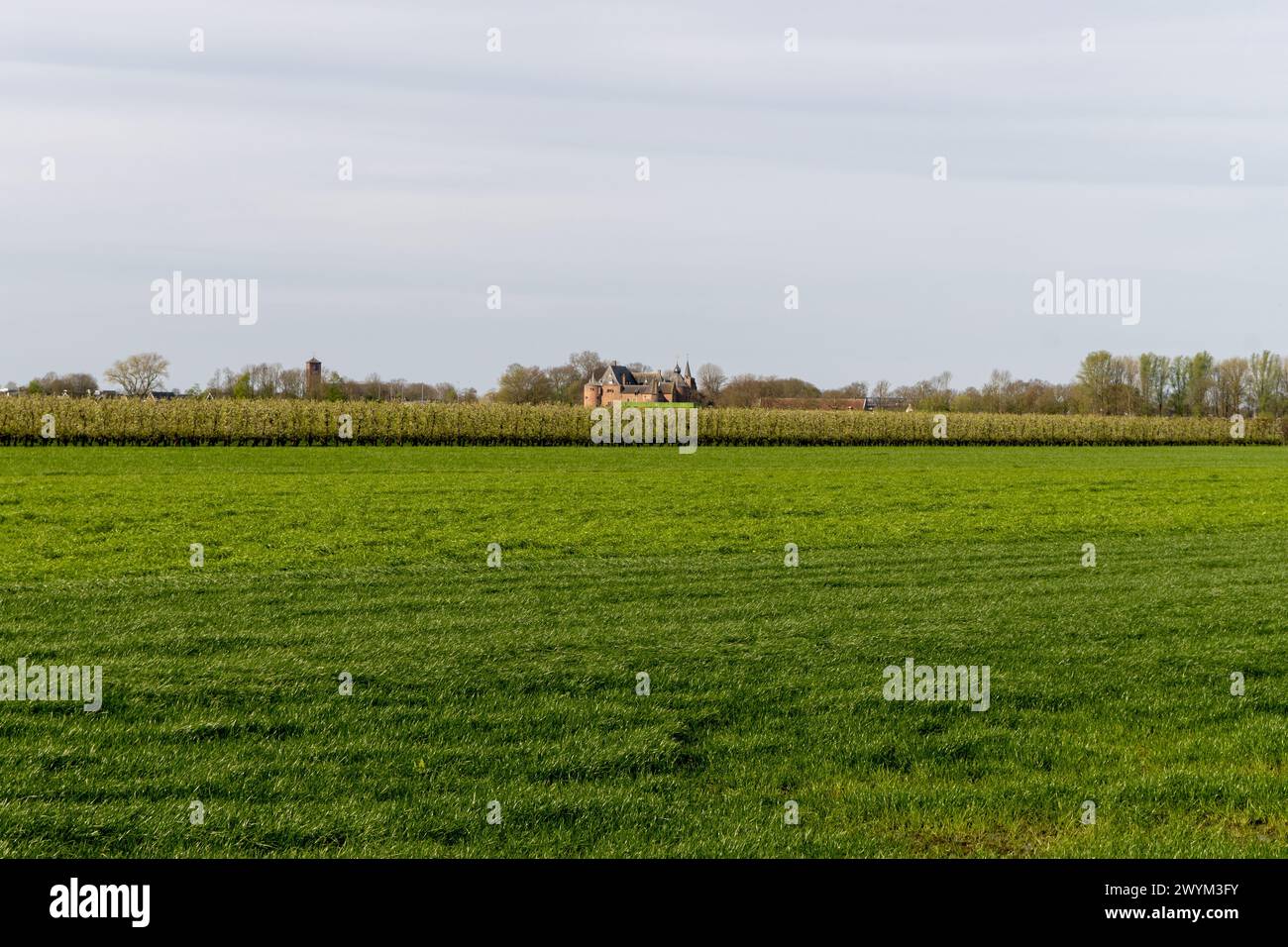 Dutch countryside landscape with castle, apple fruit trees orchards and ...