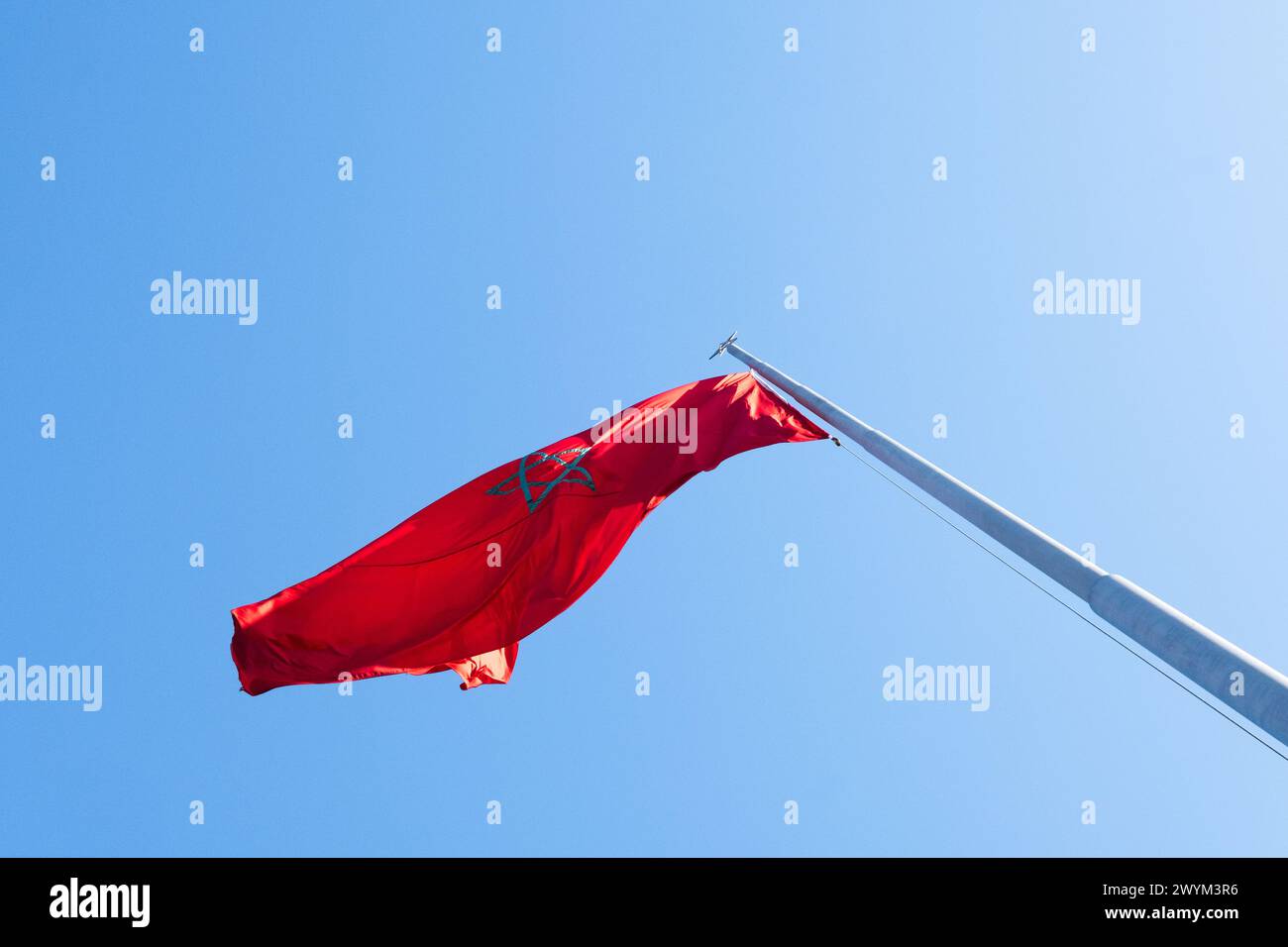 The beautiful Moroccan flag waves in the sunrise sun with its ...
