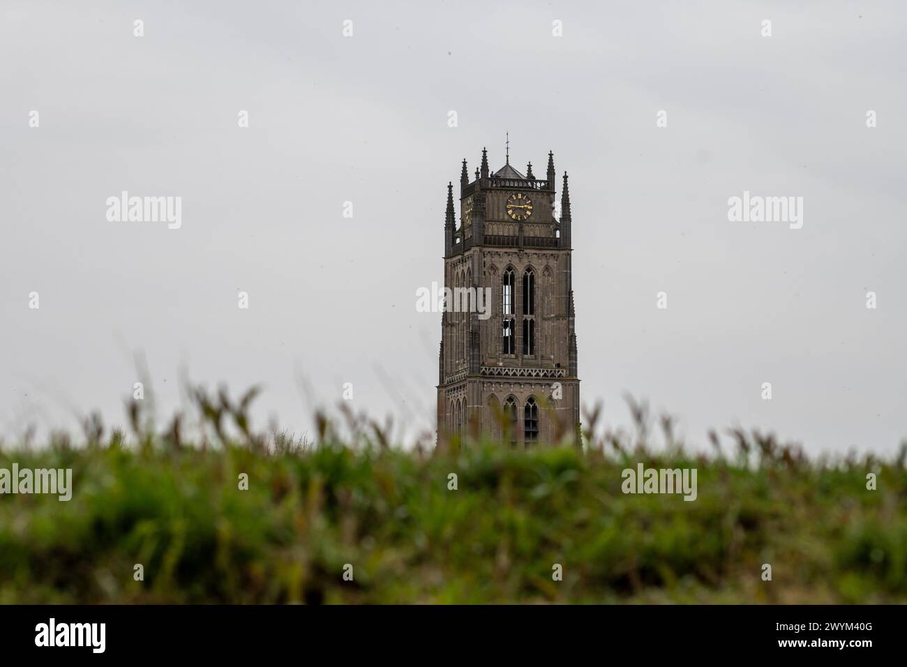 View on old church tower in Zaltbommel medieval town, Gelderland ...
