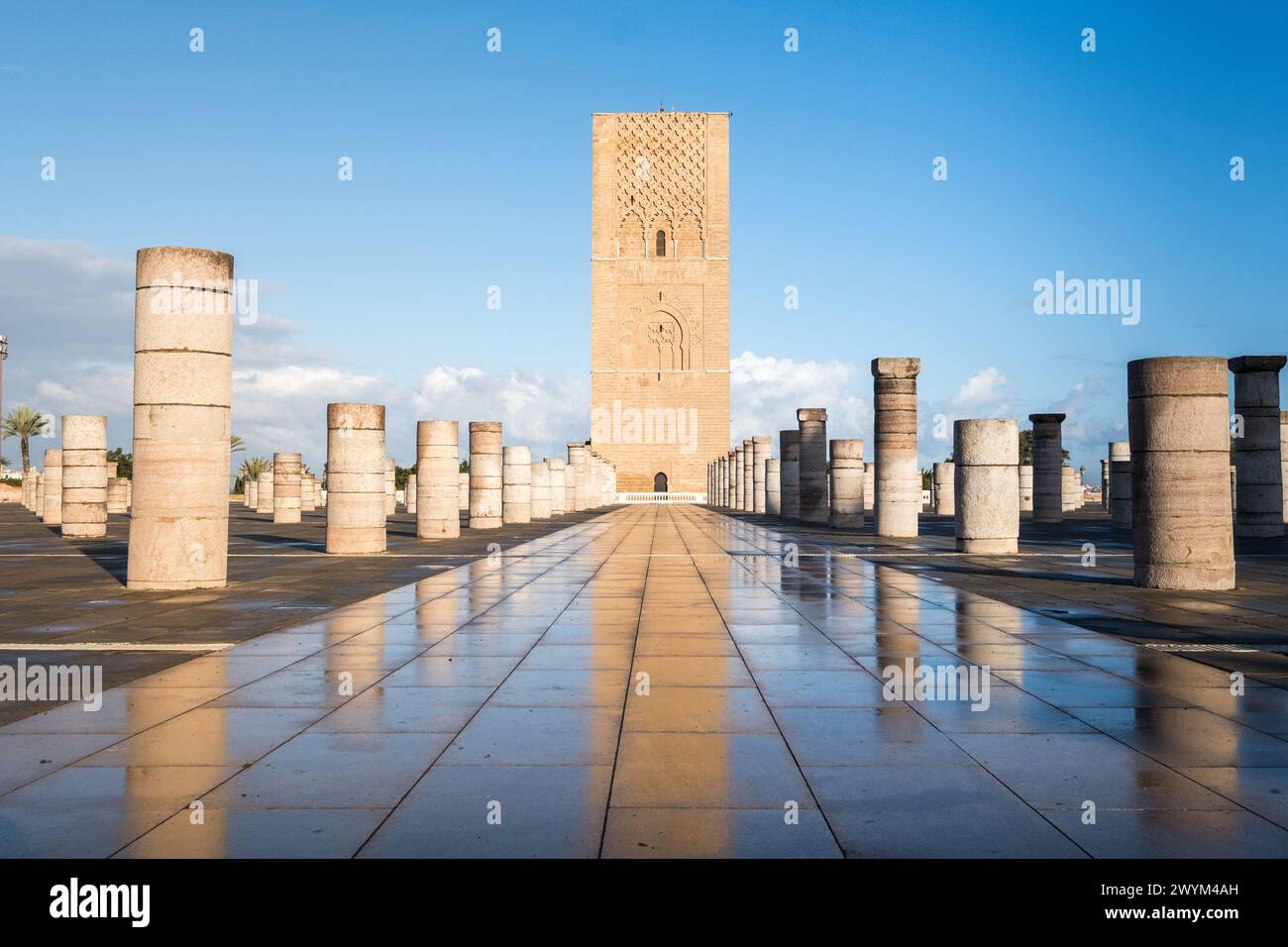 Mosque of Sultan Yaqub al-Mansur with the minaret in the center. It is ...