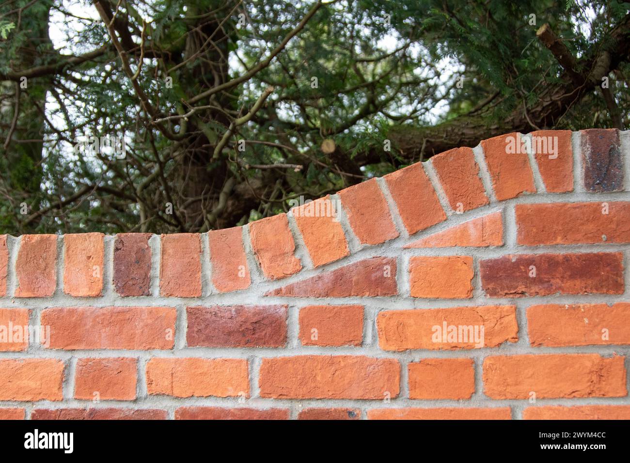 Neatly executed new brick wall using a Suffolk/Flemish bond and some ...