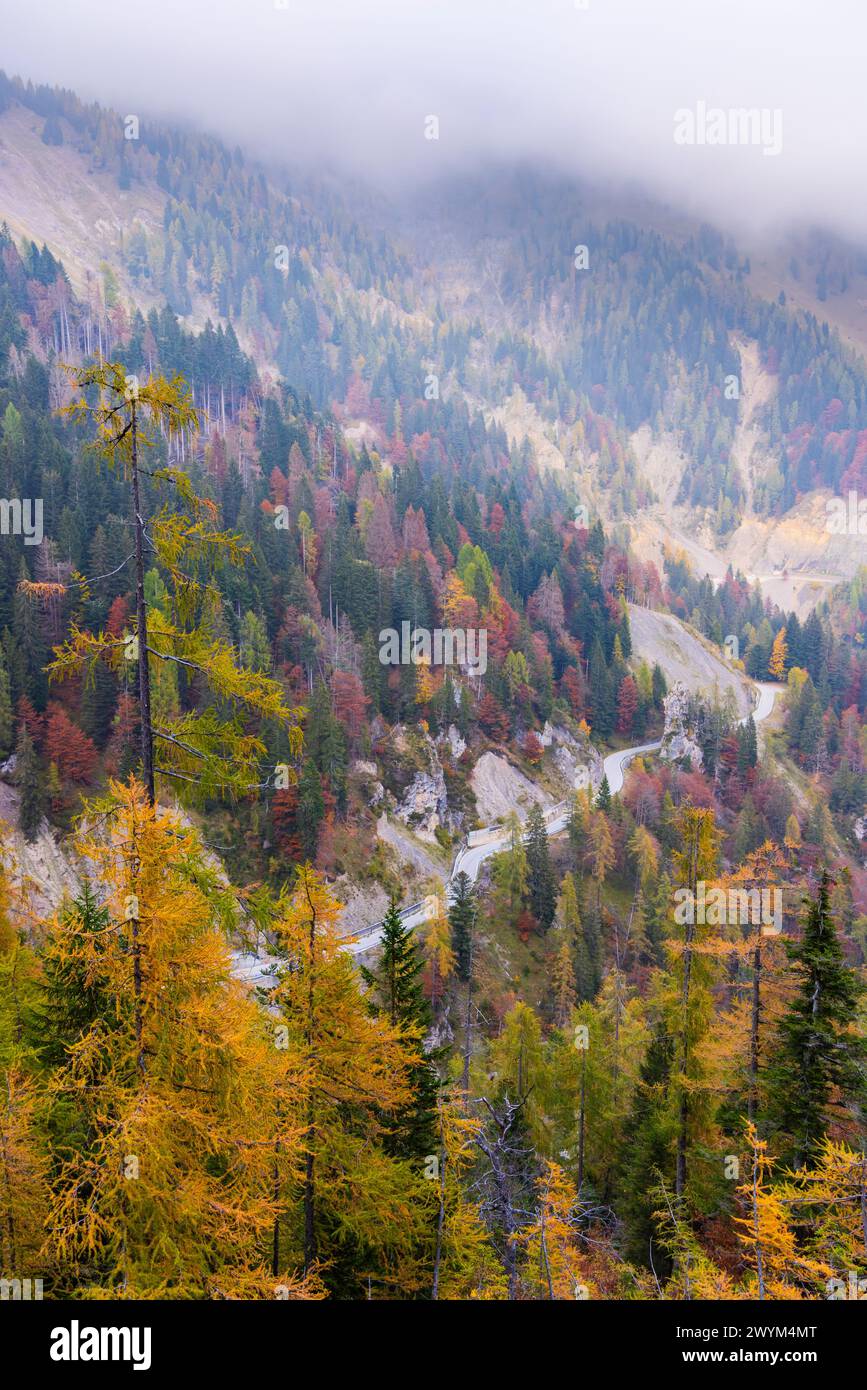 Landscape near Sella di Razzo and Sella di Rioda pass, Carnic Alps ...