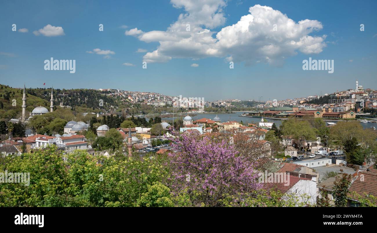 The Golden Horn of Istanbul, Turkey Stock Photo - Alamy