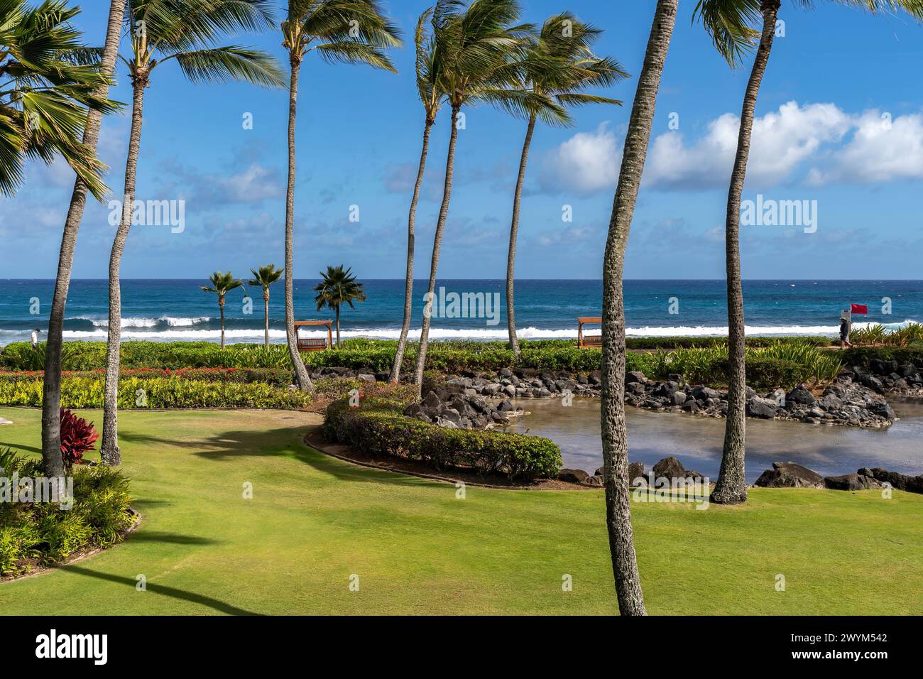 Looking out through the lush palm trees and manicured gardens at ...