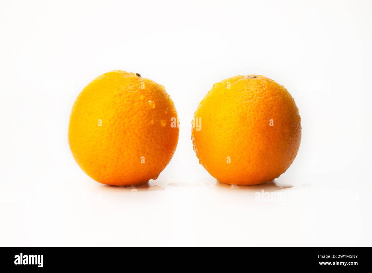 Two oranges are sitting on a white background. The oranges are wet and ...