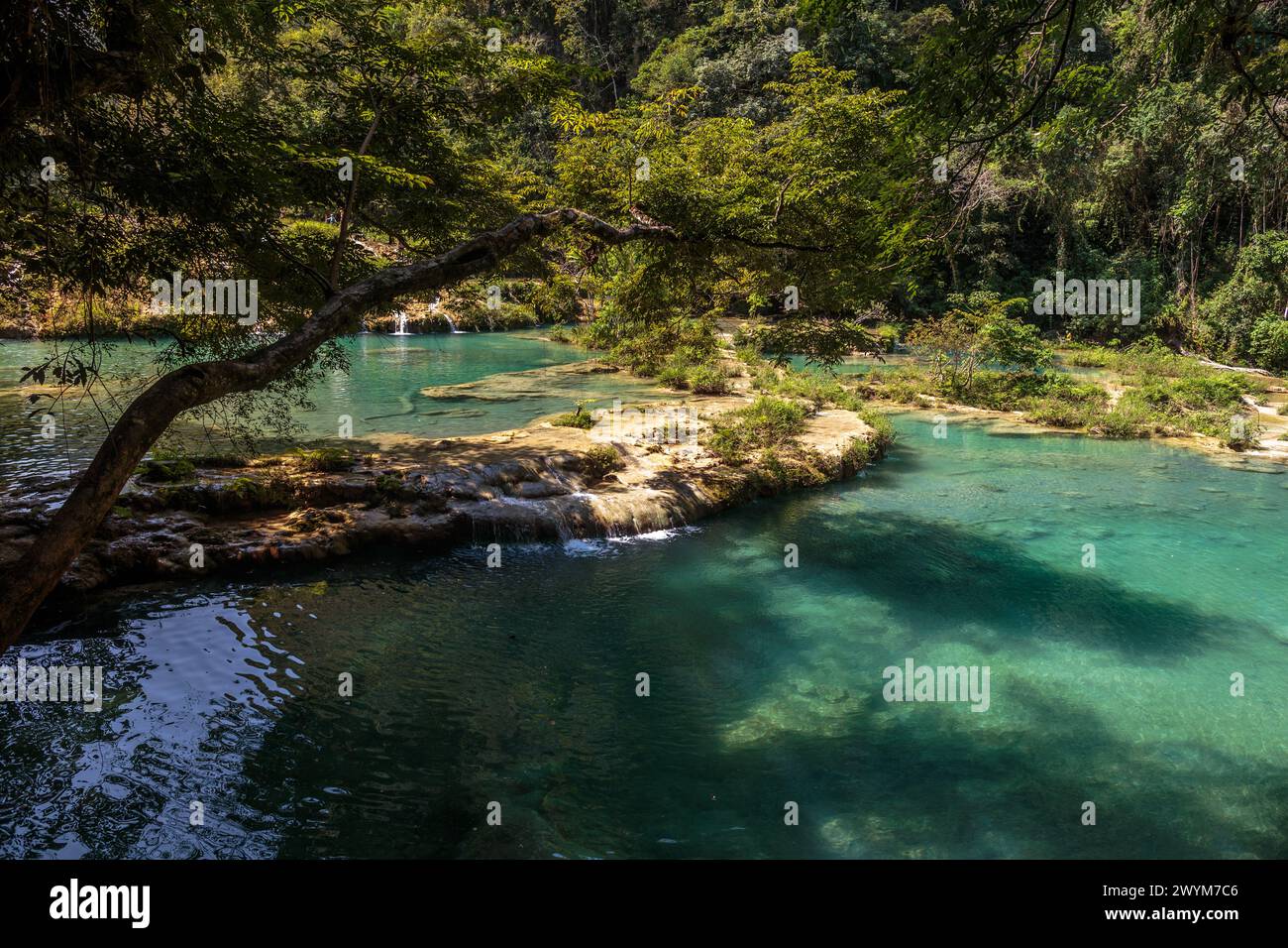 Turquoise pools in natural karst formations make a perfect swimming ...