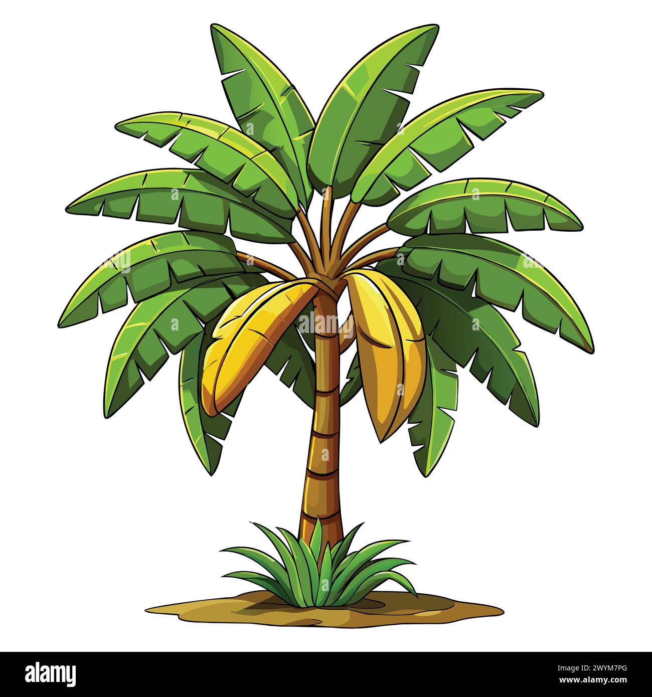 Banana tree, white background, ready for animation Stock Vector Image ...