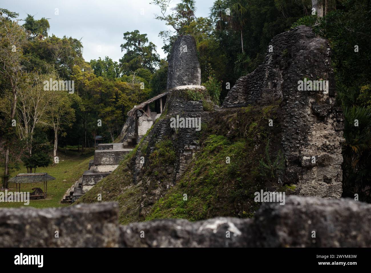 Pyramids and ruins in the Mayan city of Tikal in the jungle of northern ...