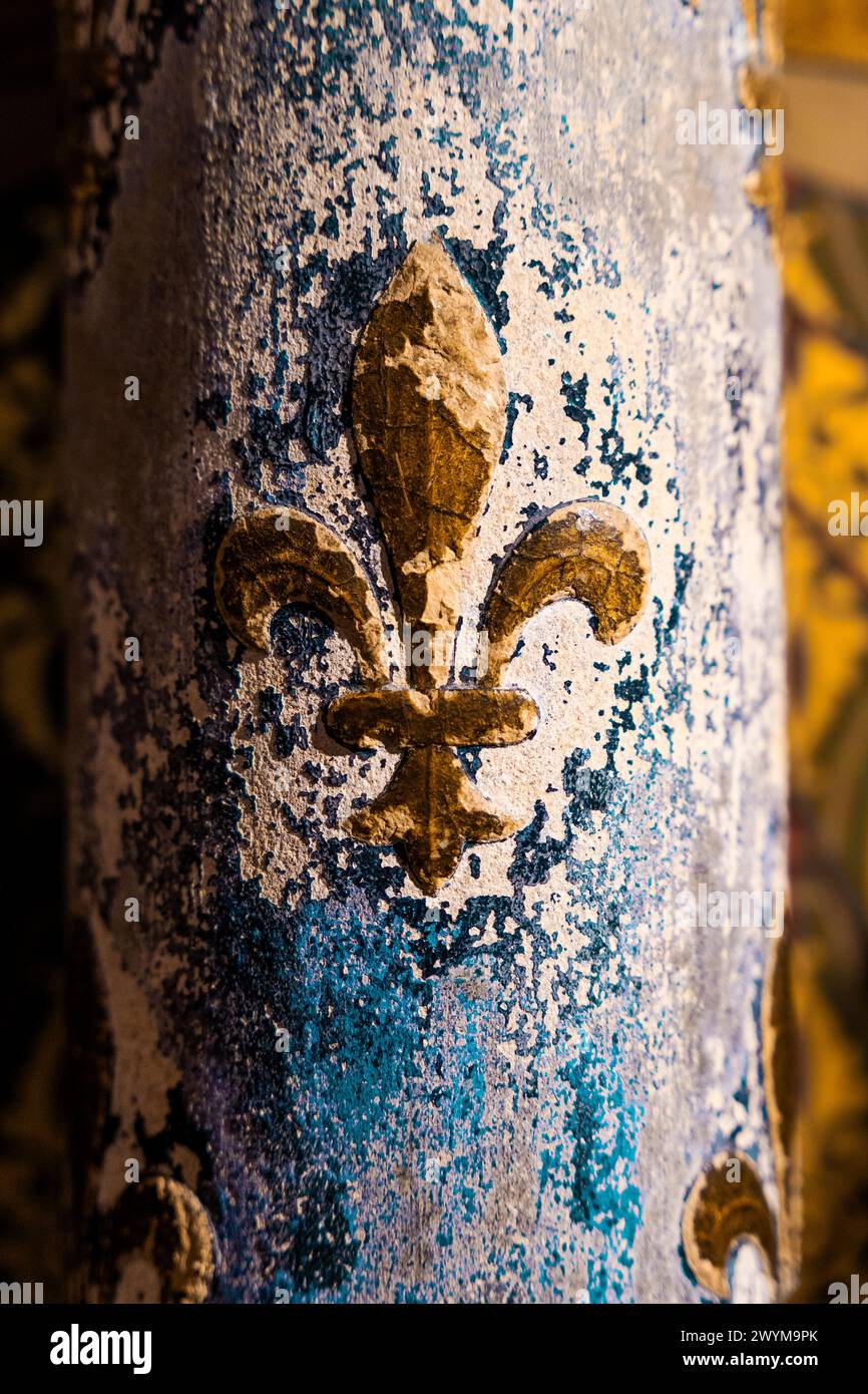 Symbol of the golden French lily known as "Lille de France" with blue ...