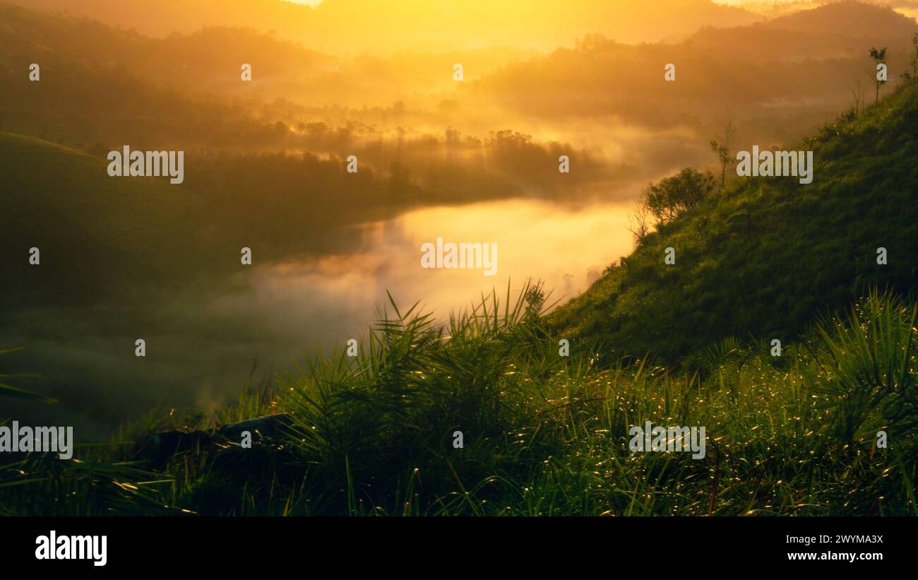 Golden Sunrise Over Misty Valley Winding Through Lush Green Hills Stock ...