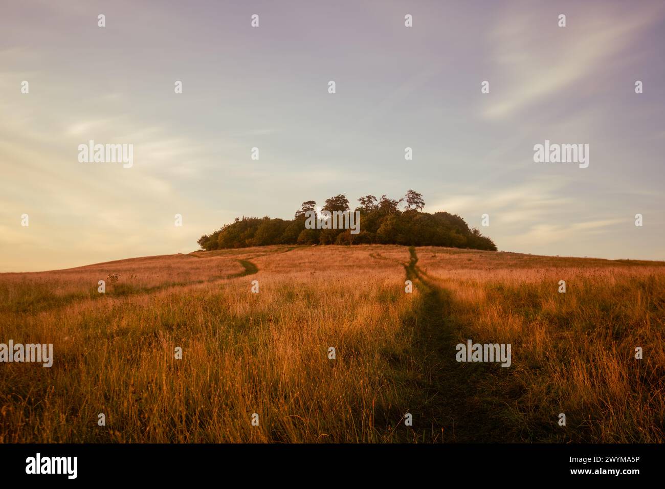 Autumn oxfordshire landscape hi-res stock photography and images - Alamy