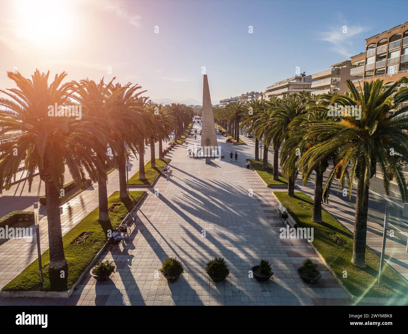 beautiful alley with palm trees aerial view, pedestrian street at ...