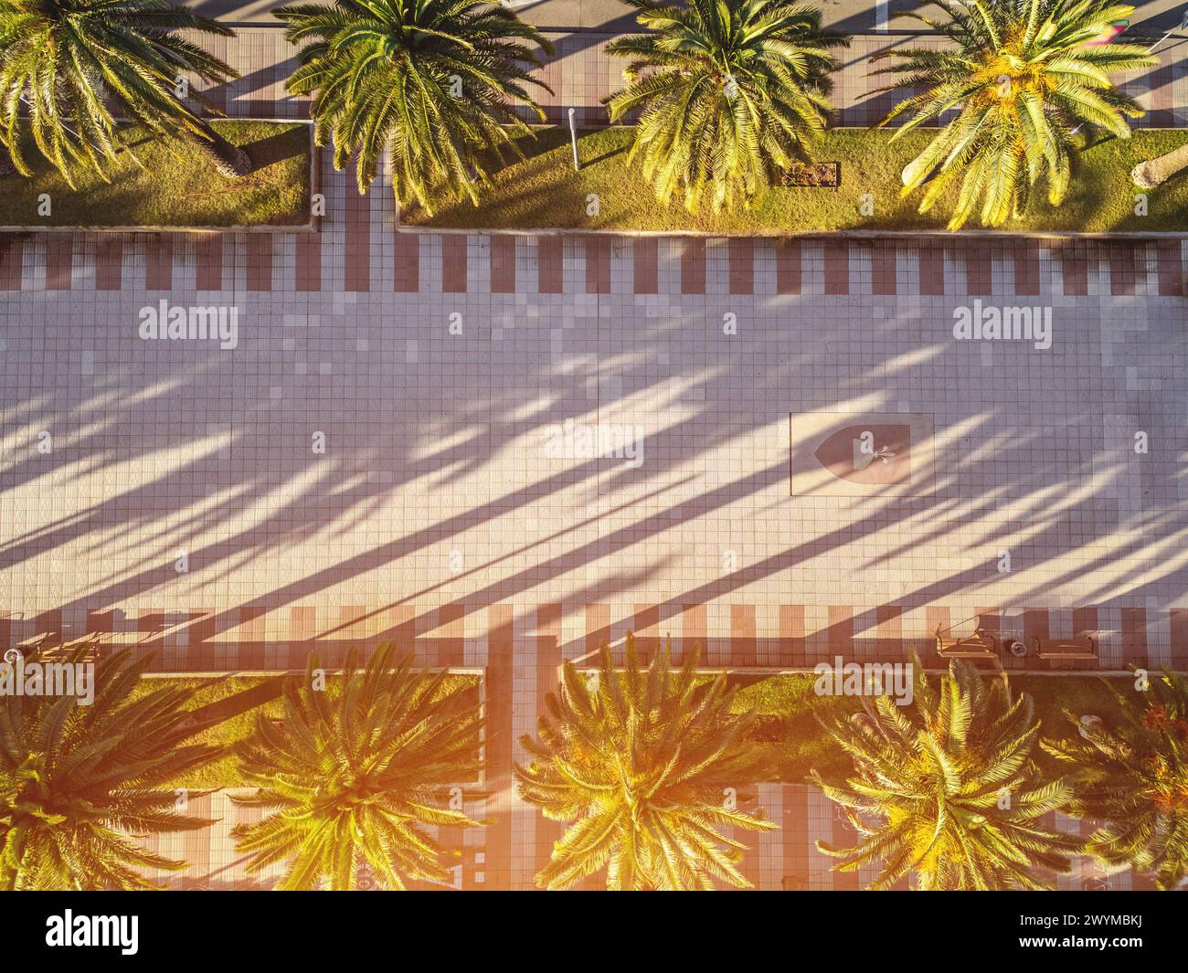 beautiful alley with palm trees aerial view, pedestrian street at ...