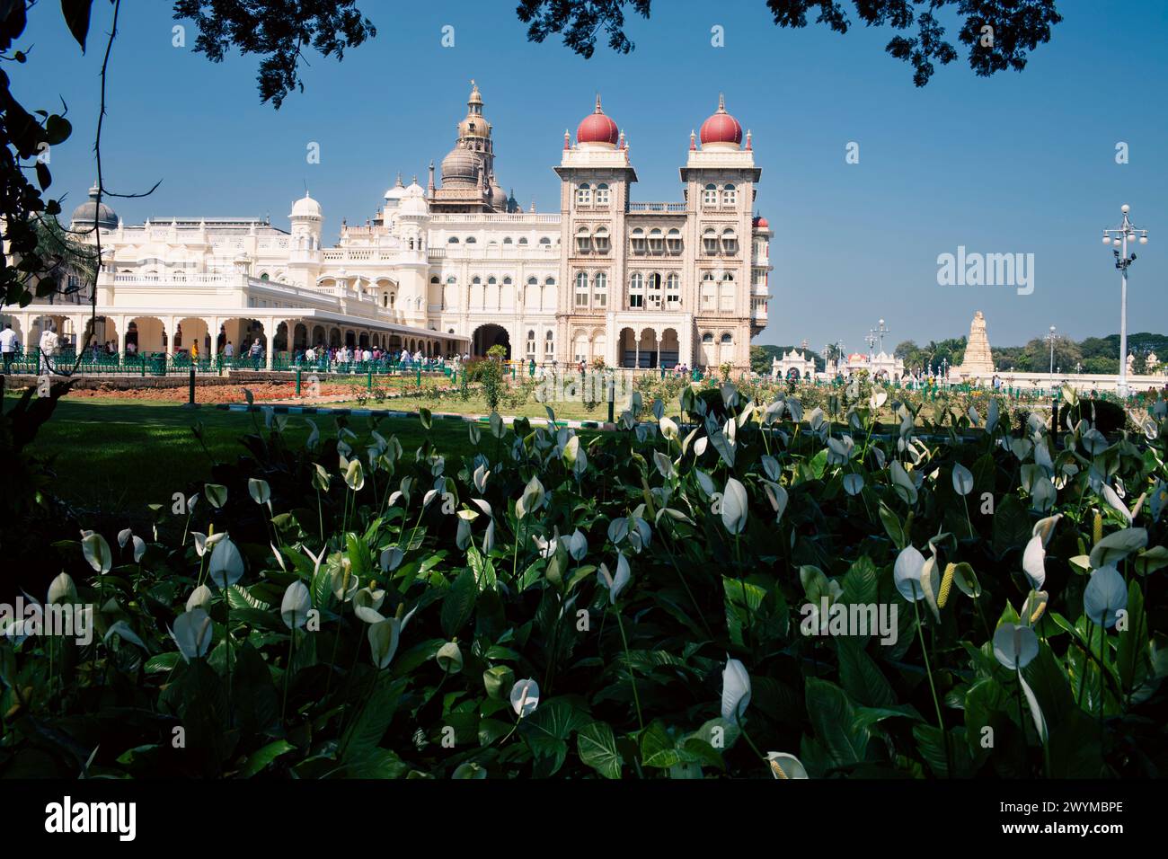 Mysore Palace, with white flowers in the foreground. Street photography ...