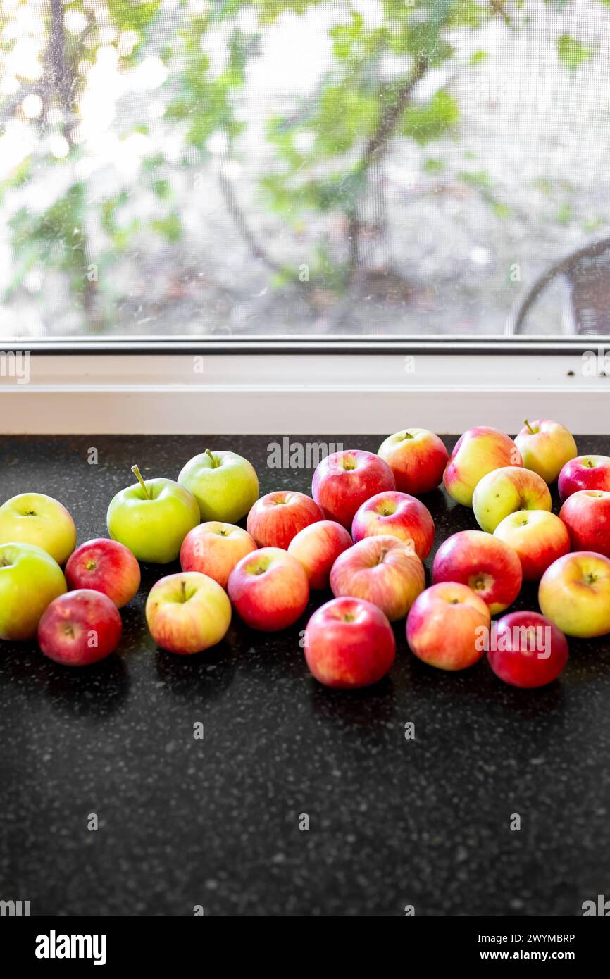 Red and striped apples on the windowsill. Harvest of early apples on a ...