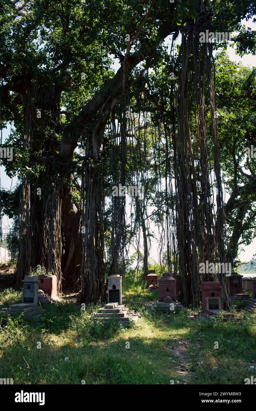 A cemetery under banyan trees on the road to Mysore in Karnataka ...