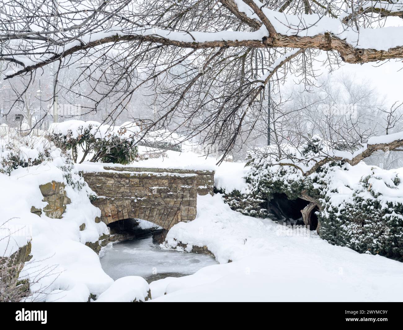 Winter snow and frozen stream city park bridge Stock Photo - Alamy
