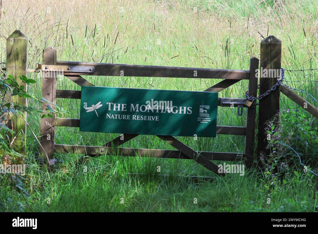 Montiaghs nature reserve hi-res stock photography and images - Alamy