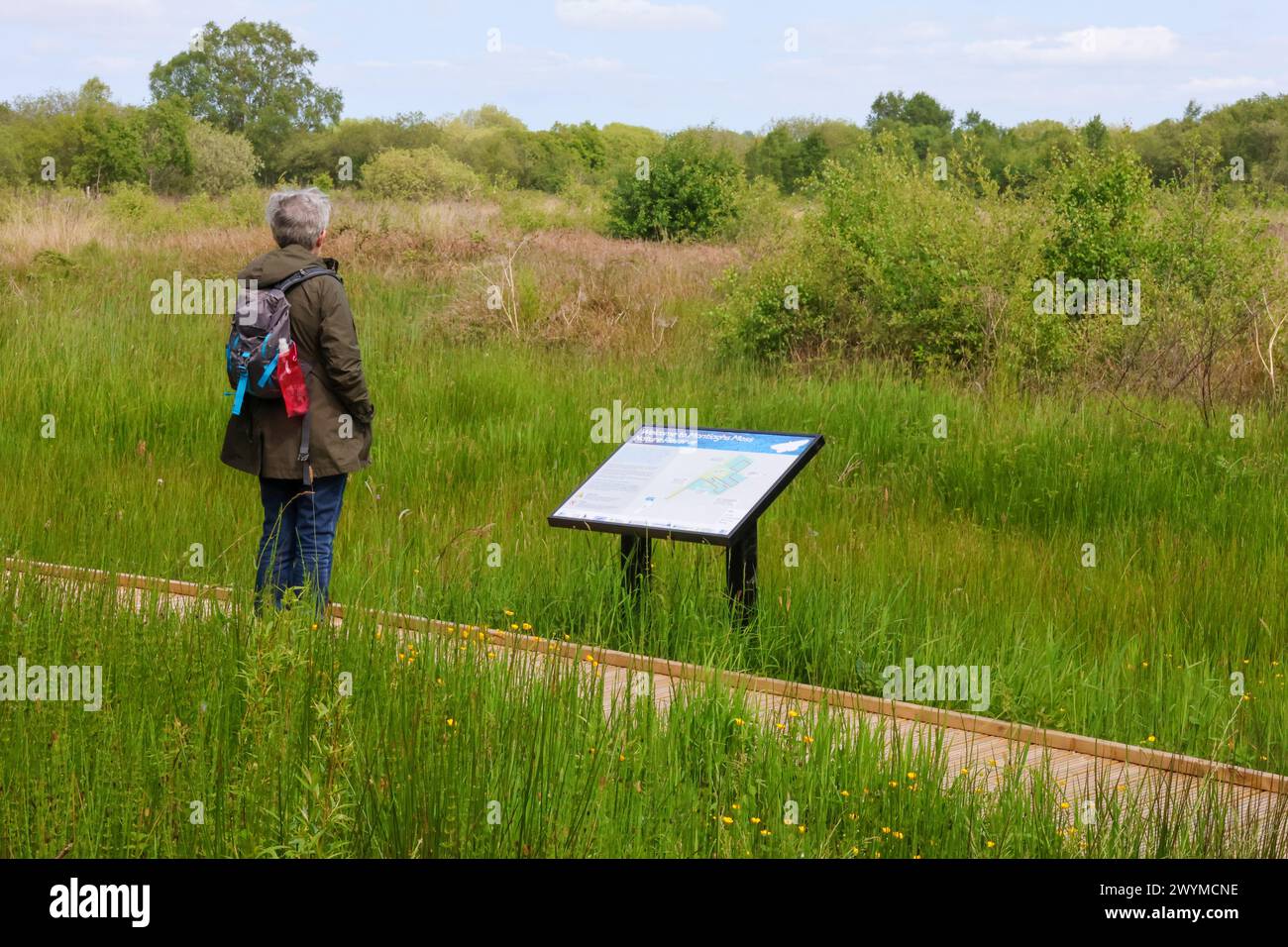 Woman visitor looking across the RSPB Mobtiaghs Moss nauture reserve ...