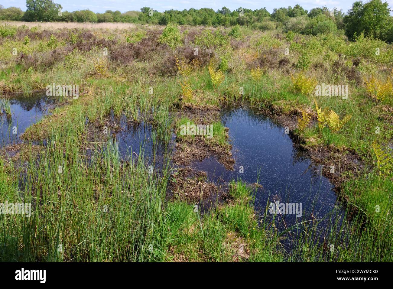 Raised ponds hi-res stock photography and images - Alamy