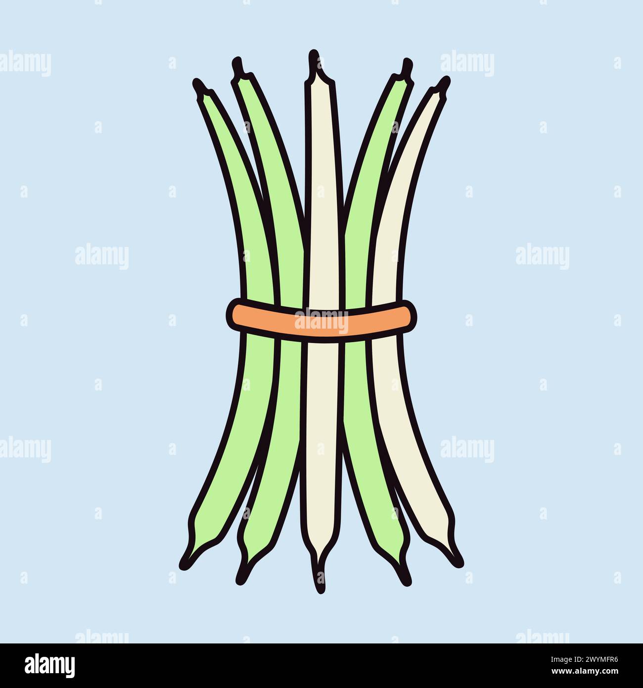Green beans bound sheaf isolated vector icon. Vegetable sign. Graph ...