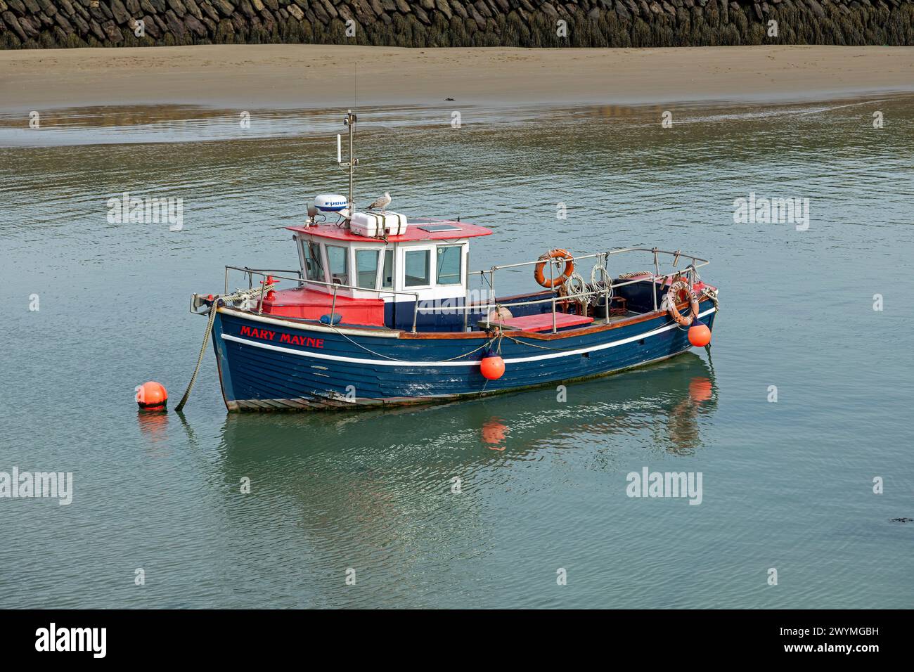 Boat, boat harbour, Folkestone, Kent, England, Great Britain Stock ...