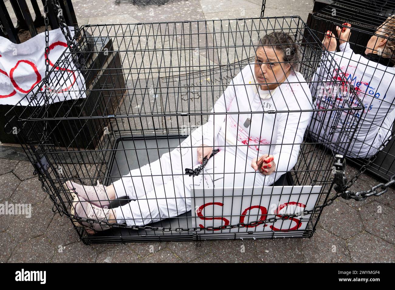 Woman in a cage hi-res stock photography and images - Alamy