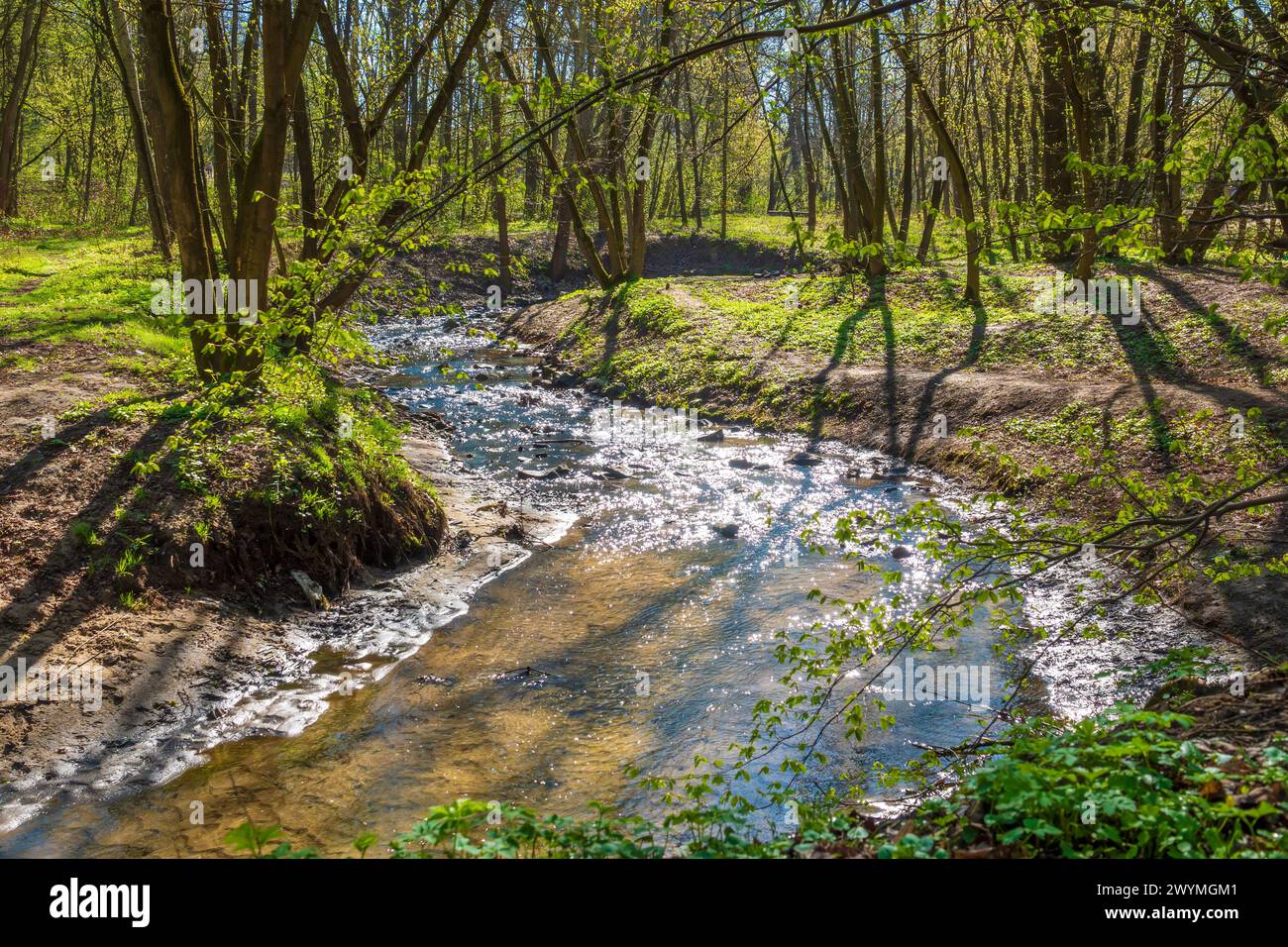 Spring stream in beautiful picturesque hi-res stock photography and ...