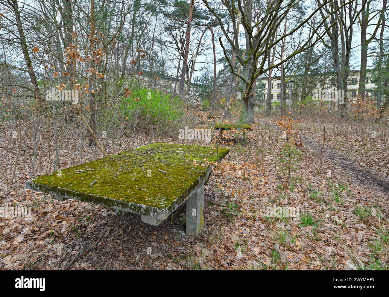 Wandlitz, Germany. 22nd Mar, 2024. The Bogensee area. The Bogensee site ...