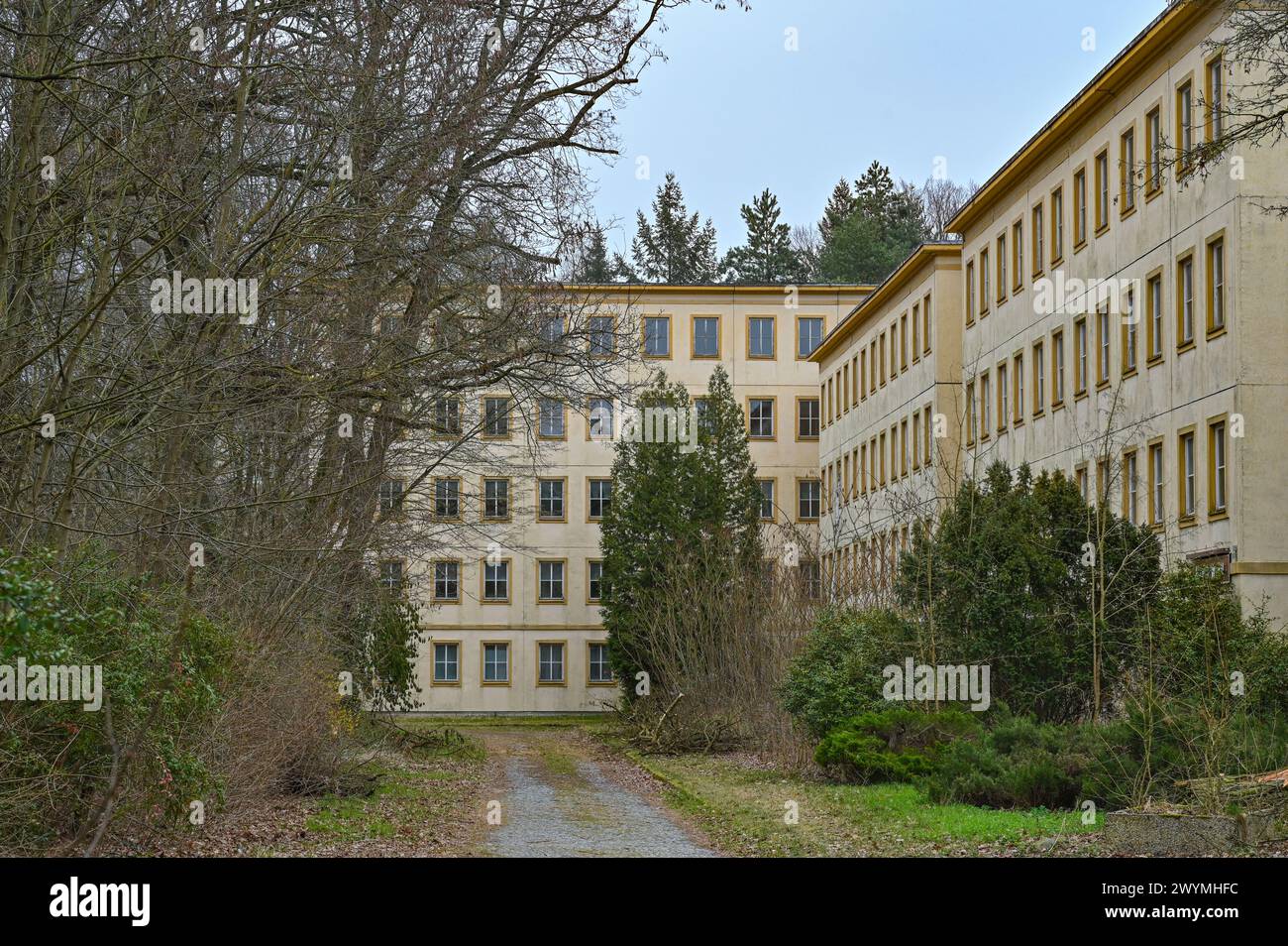 Wandlitz, Germany. 22nd Mar, 2024. The Bogensee area. The Bogensee site ...