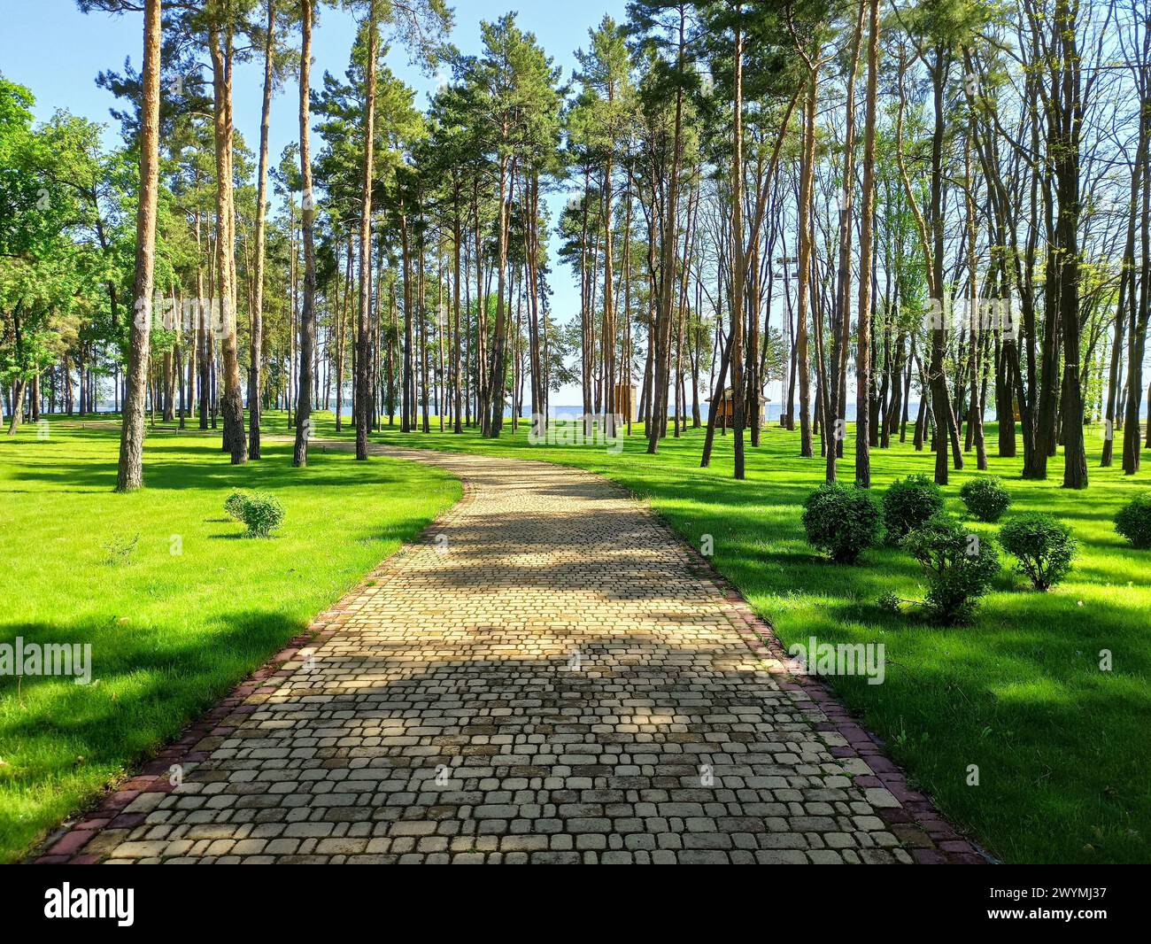 A beautiful path in Sukholuchcha Park in summer Stock Photo - Alamy