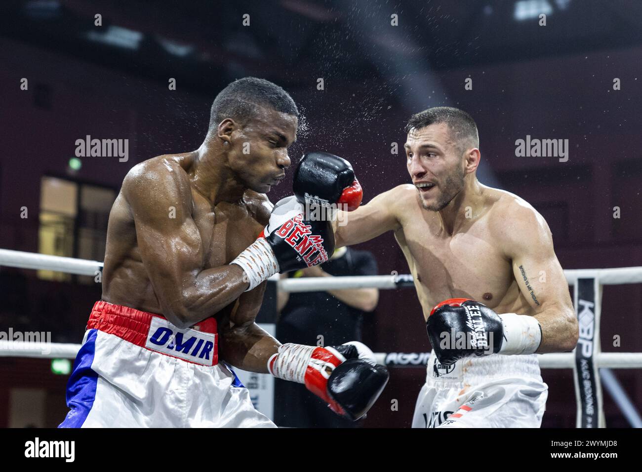 Falkensee, Germany. 06th Apr, 2024. Boxing: Middleweight, Rodriguez (Panama) - Avdic (Austria ...