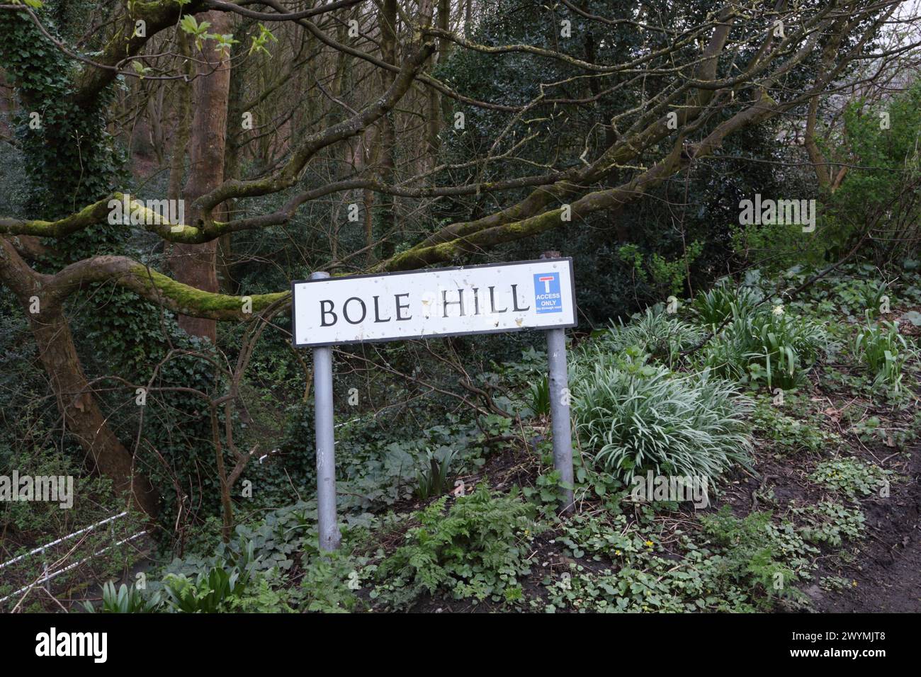 Street name sign Bole Hill in Norton Woodseats Sheffield England ...